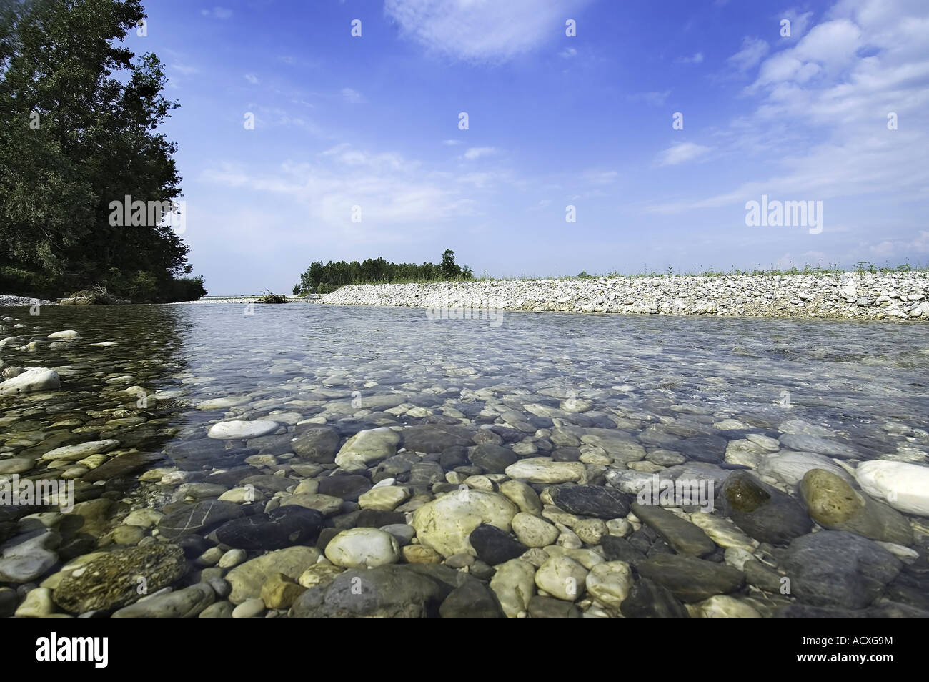 the river bank Stock Photo - Alamy