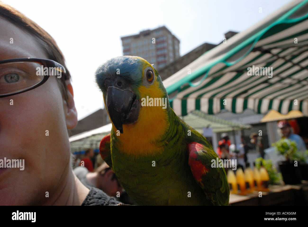 East London England Hackney Broadway market Woman shopping with parrot ...
