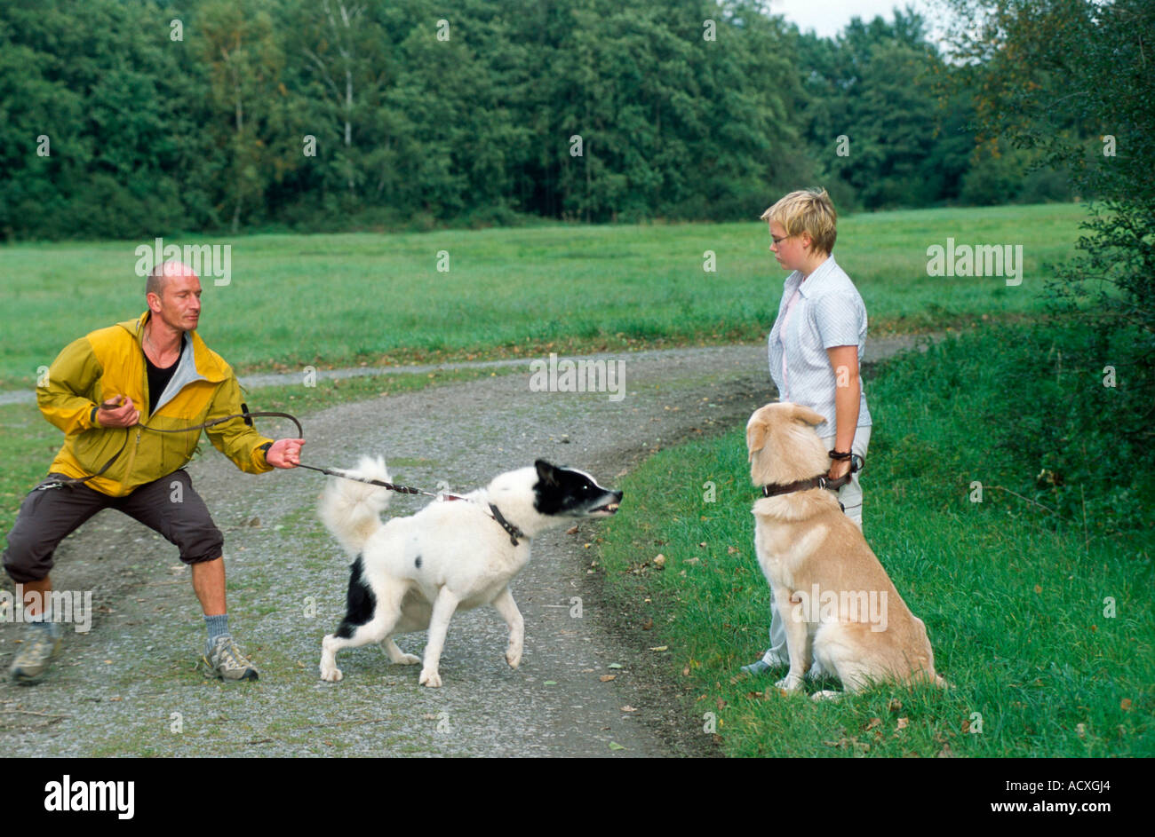 People with Dogs Stock Photo - Alamy