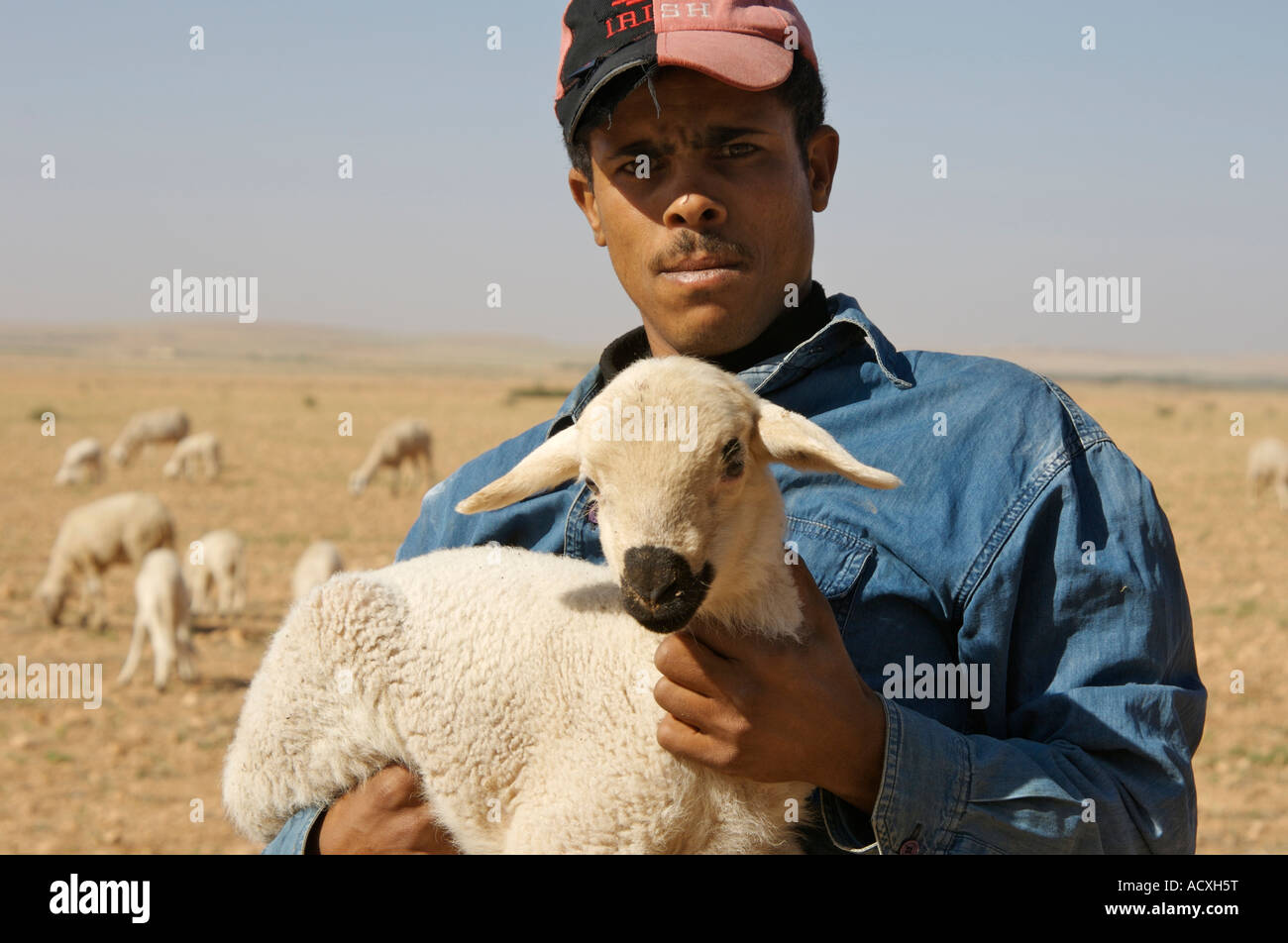 Shepherd holding lamb Stock Photo - Alamy