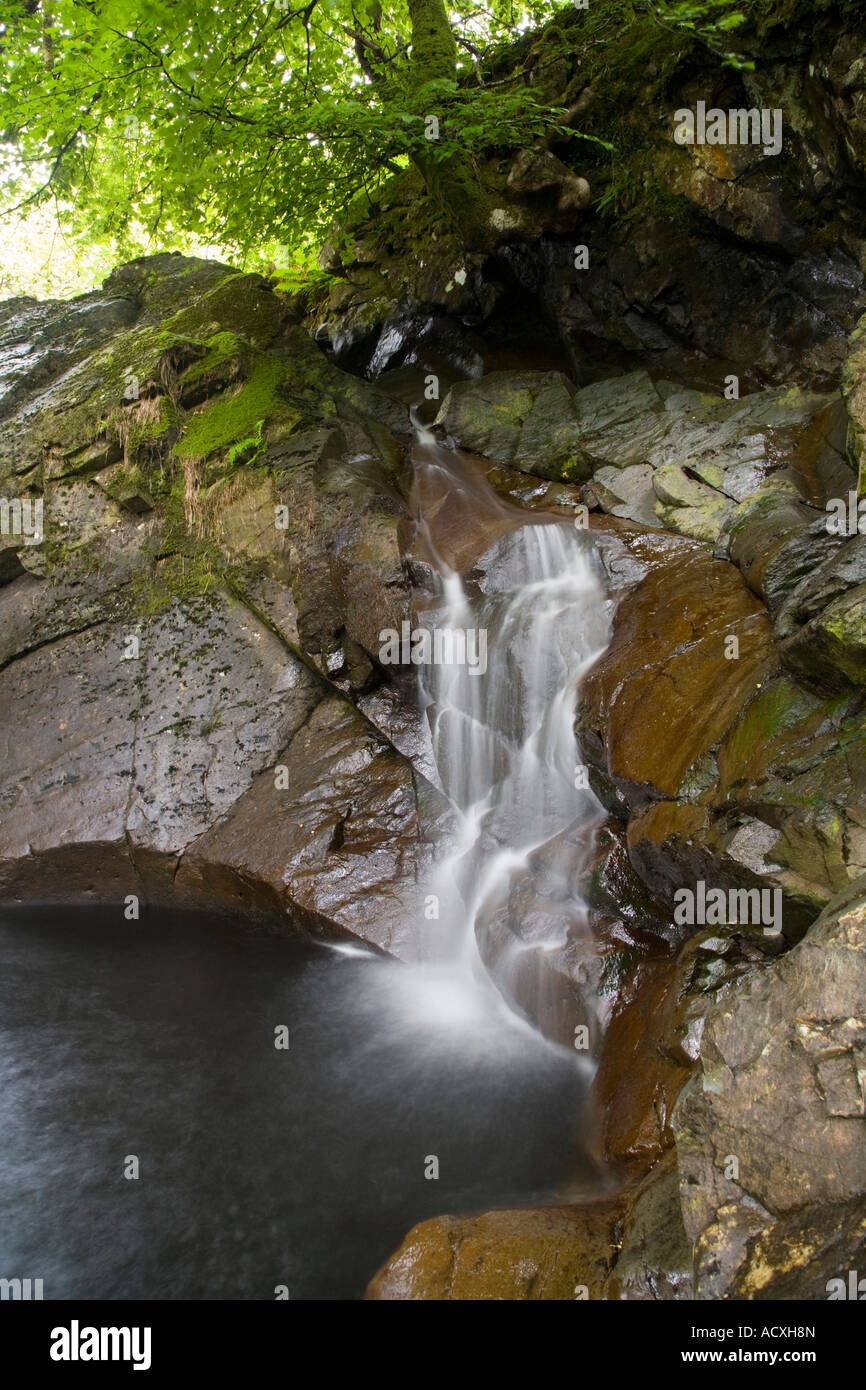 Woodland waterfall in late spring Stock Photo - Alamy