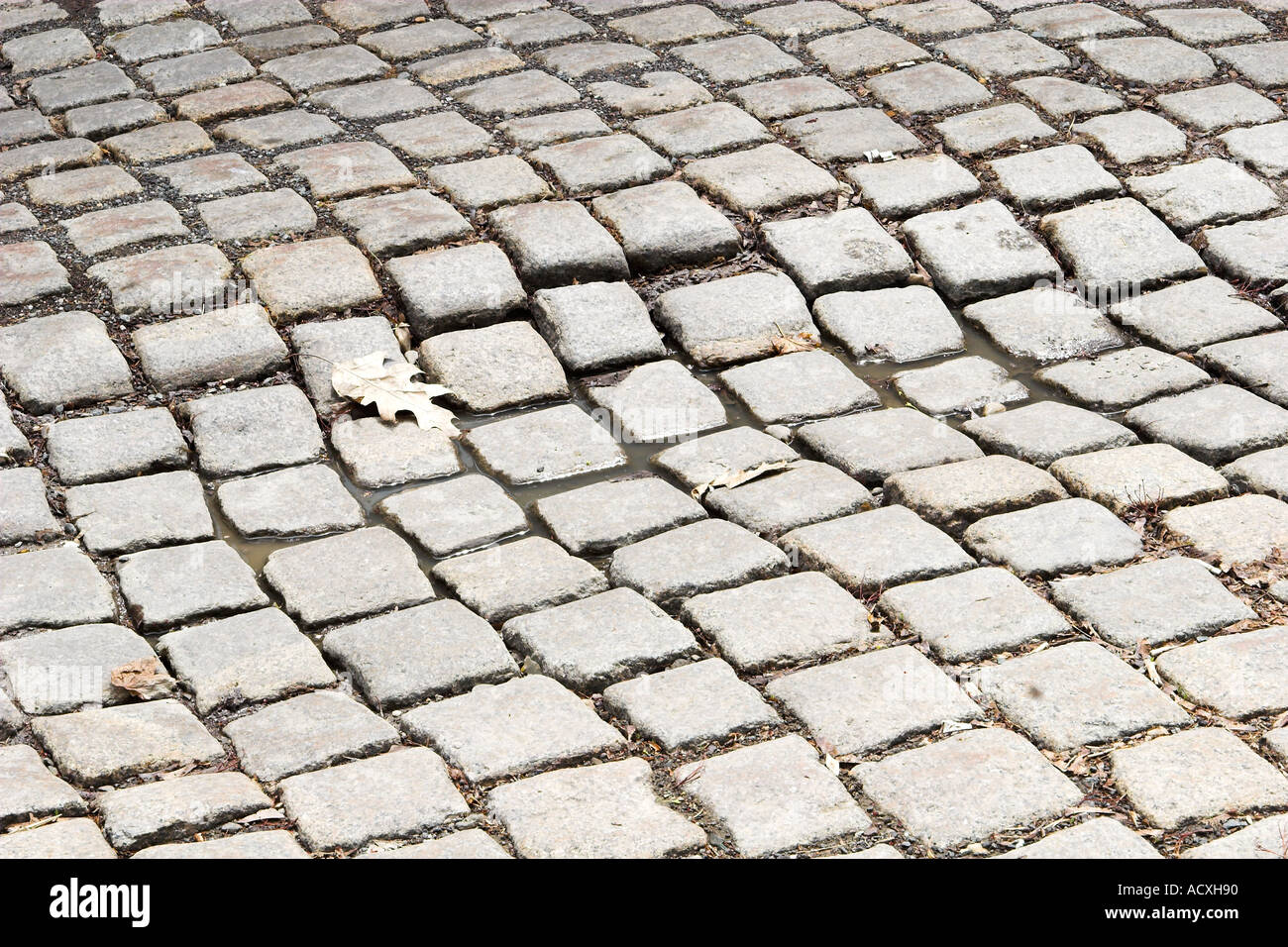 Street covered with debris hi-res stock photography and images - Alamy