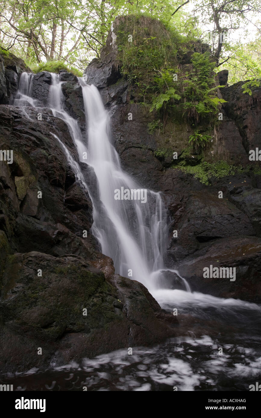 Detail of waterfall, rock, trees and ferns Stock Photo - Alamy
