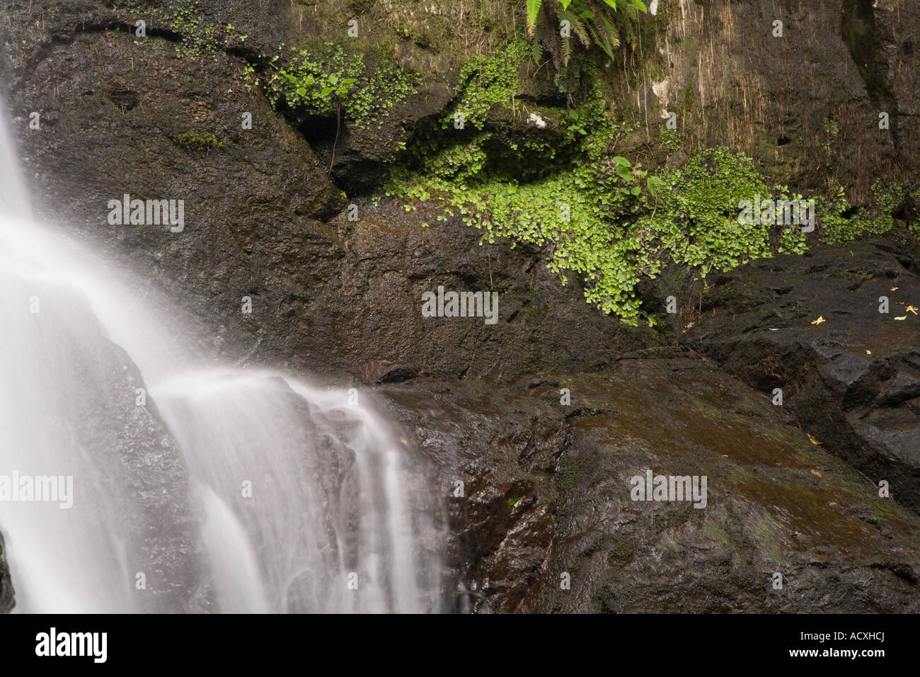 Detail of waterfall showing fluidity of water in contrast to solidity ...