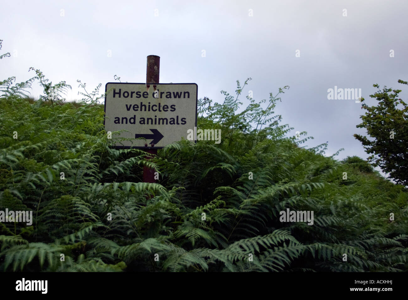 Horse drawn vehicles and animals direction sign Stock Photo - Alamy