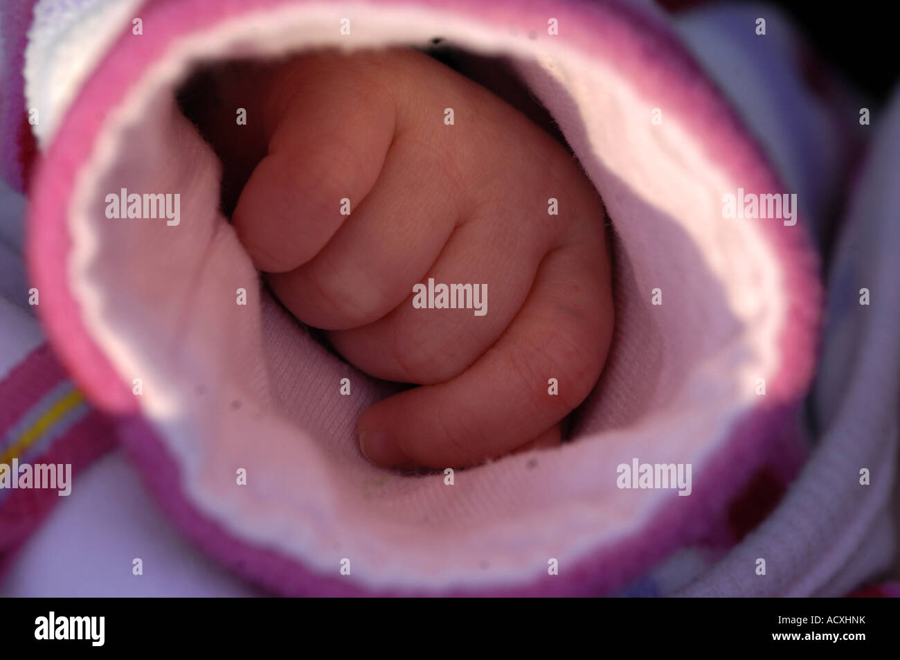 baby hand sleeve pink colour color protection jacket fingers young ...