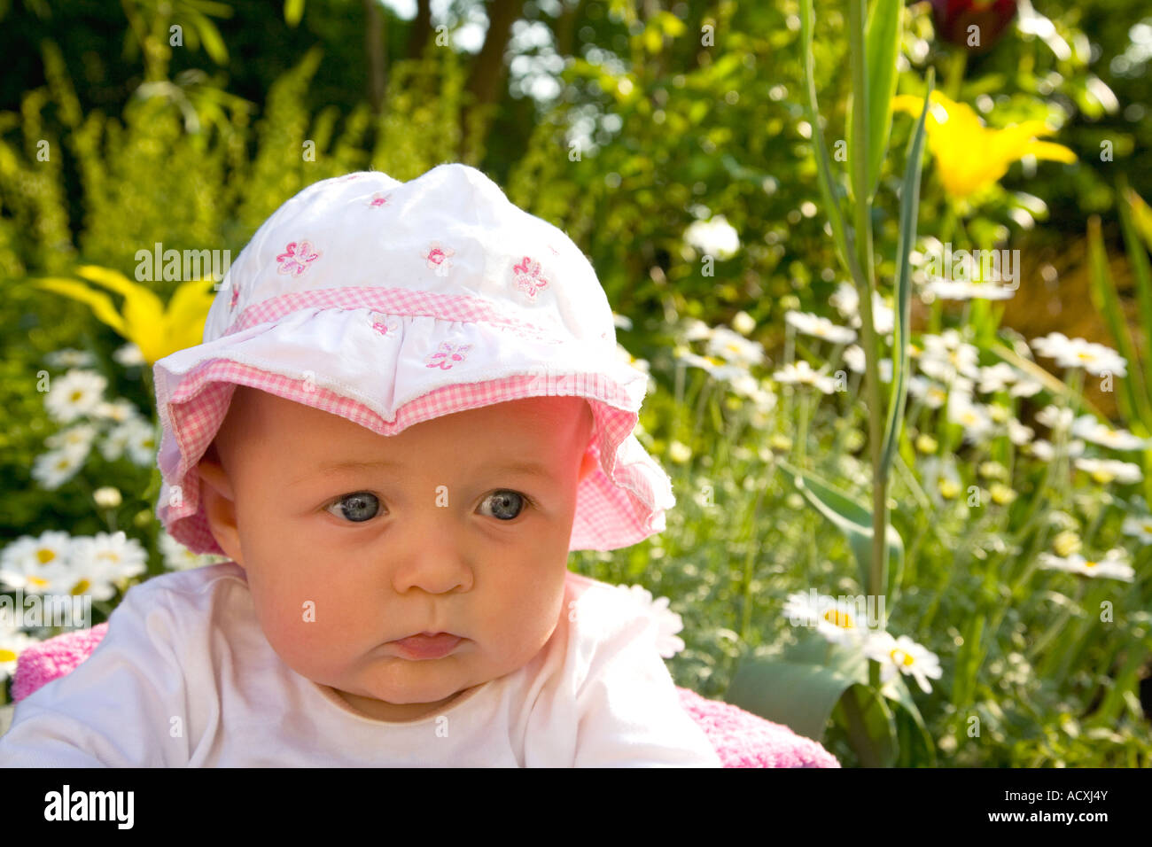 6 month hi-res stock photography and images - Alamy