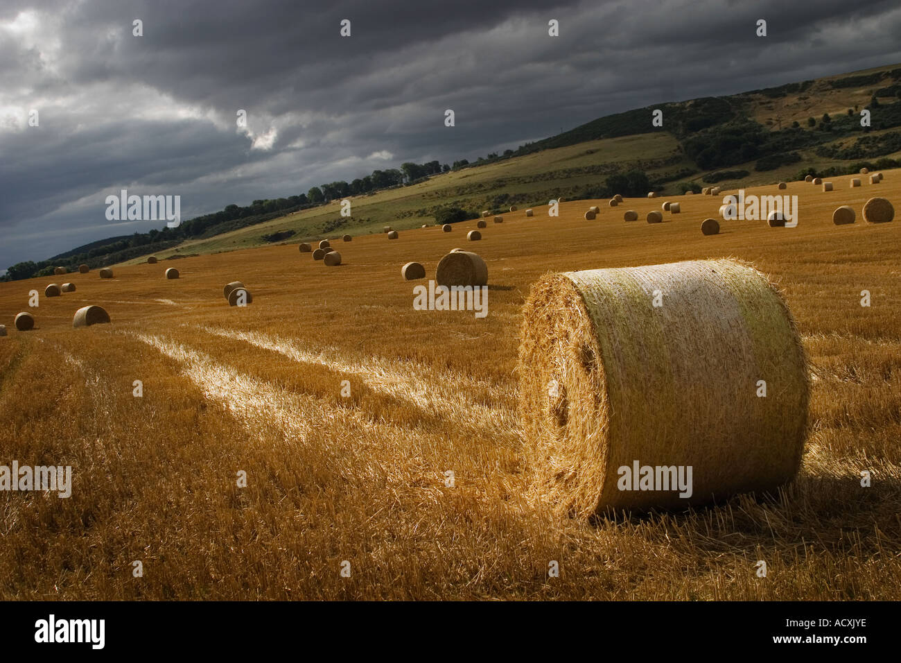Haystacks in a field in Scotland Stock Photo - Alamy