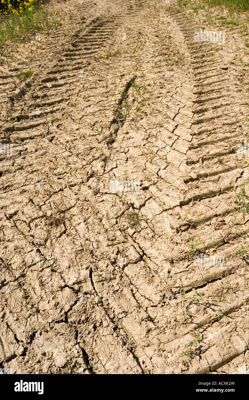 Tyre tracks in dried earth England UK Stock Photo - Alamy