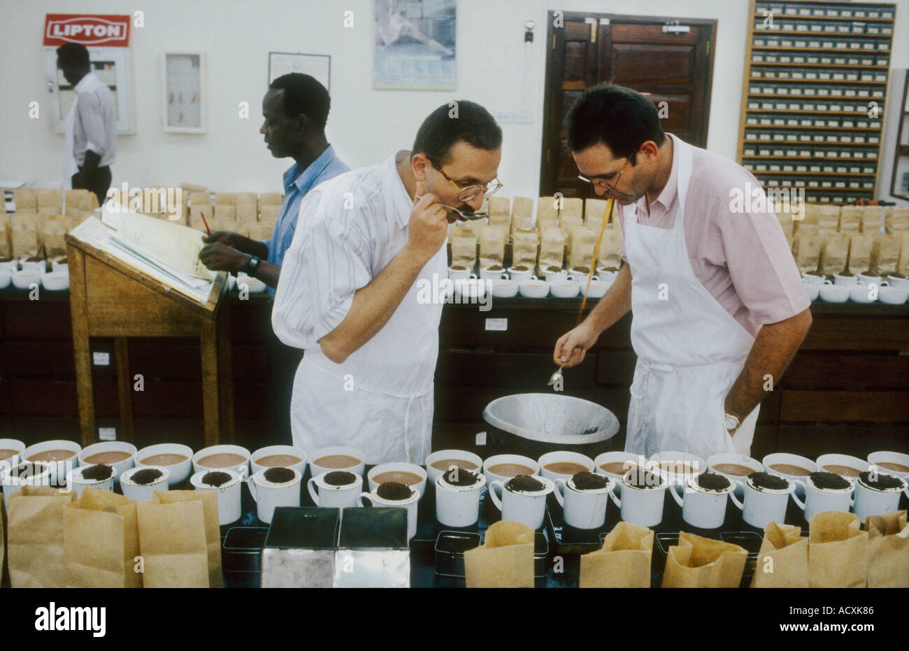Tea Tasting, experts evaluating & grading the tea before sorting ...