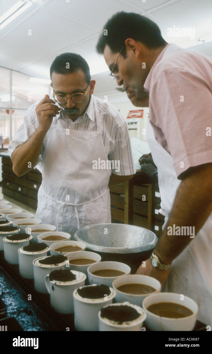 Tea Tasting, evaluating and grading the tea before sorting and ...
