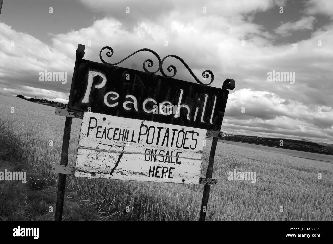The potato field Black and White Stock Photos & Images - Alamy