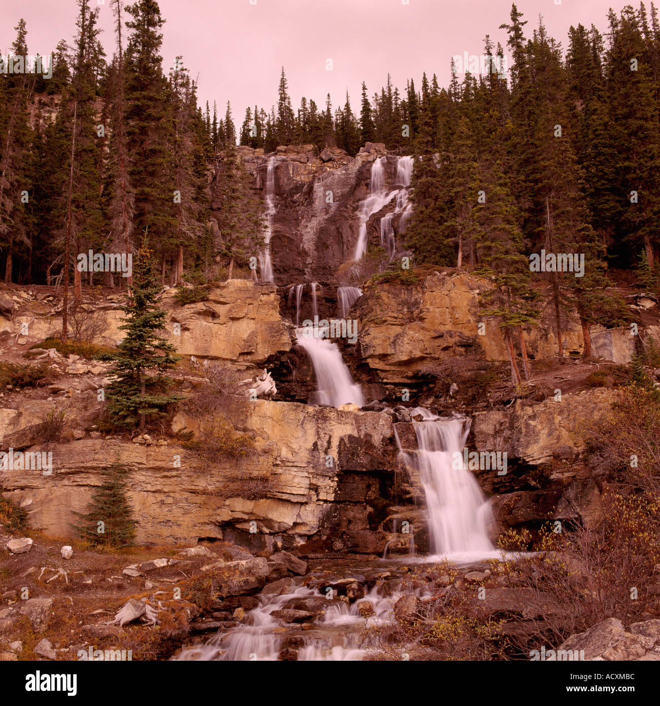 Tangle Falls along the Icefields Parkway in Jasper National Park in the ...