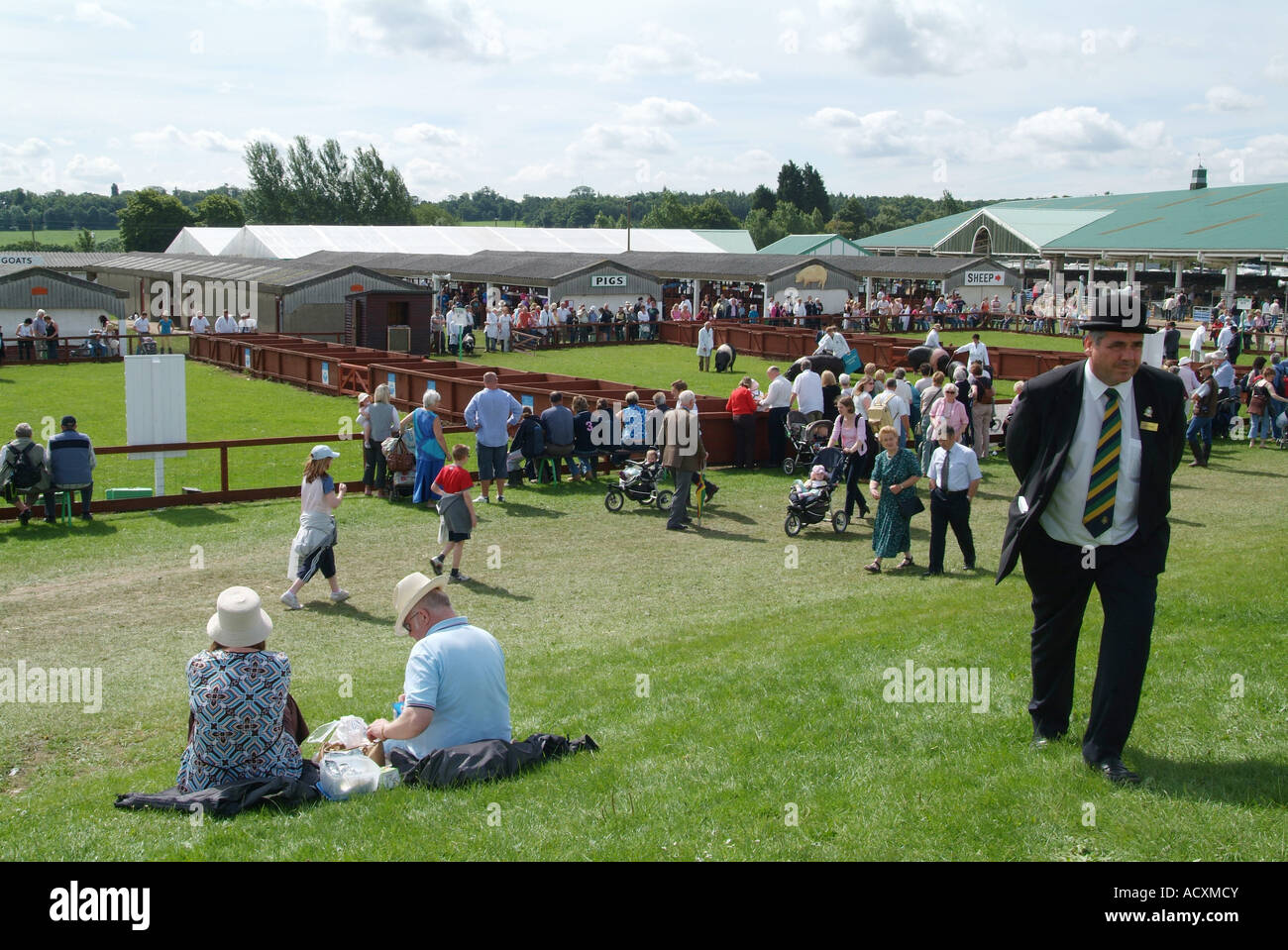 Judging Pigs at the Great Yorkshire Show, Northen England Stock Photo ...
