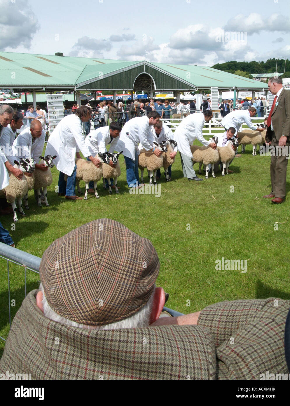 Flat cap yorkshire hi-res stock photography and images - Alamy