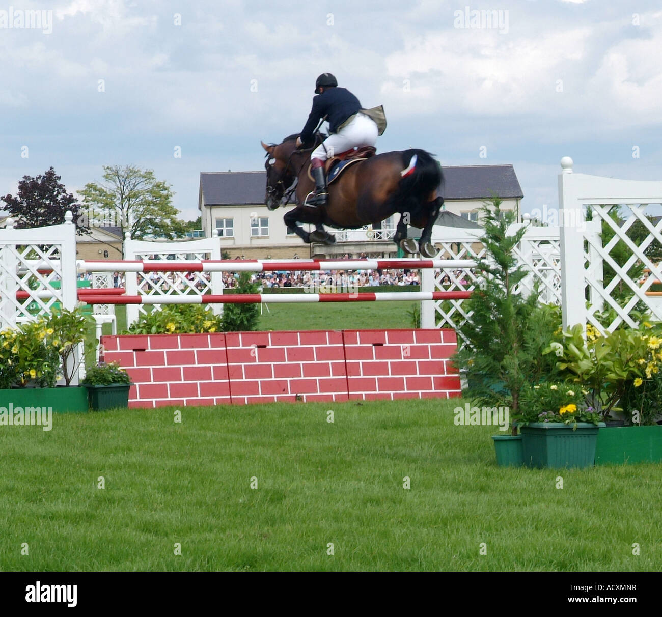 Show Jumping at the Great Yorkshire Show, Harrogate, North Yorkshire ...