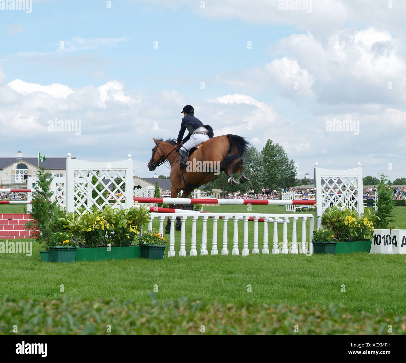Show Jumping at the Great Yorkshire Show, Harrogate, North Yorkshire ...
