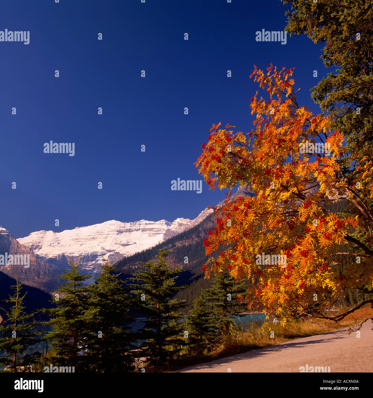 Lake Louise, Banff National Park, Canadian Rockies, Alberta, Canada ...