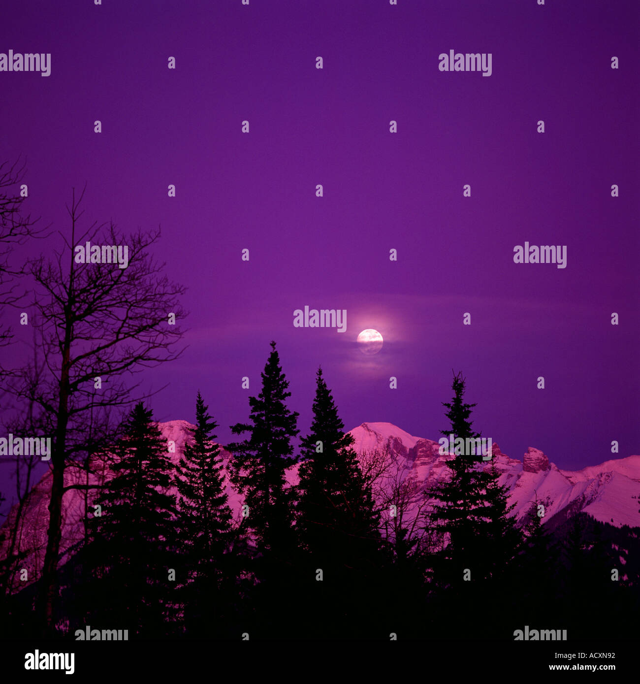 Moon rising over the Canadian Rocky Mountains in Alberta Canada Stock ...