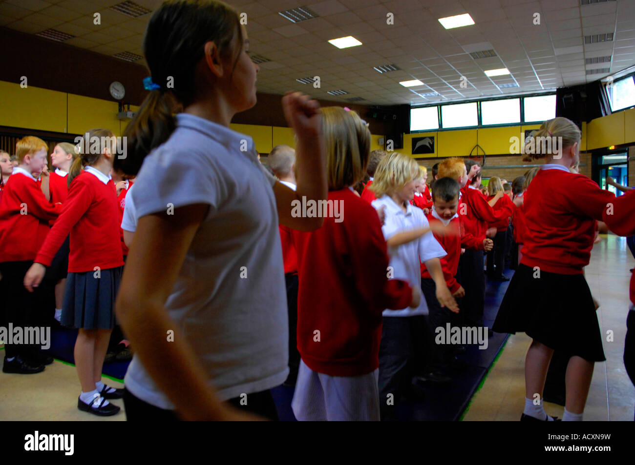 school children students kids pupils education british red hall ...