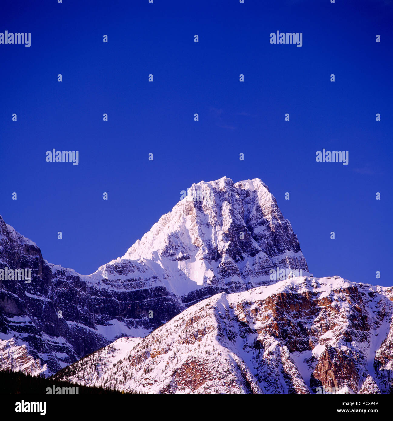 Mount Kitchener in Winter along the Icefields Parkway in Banff National ...