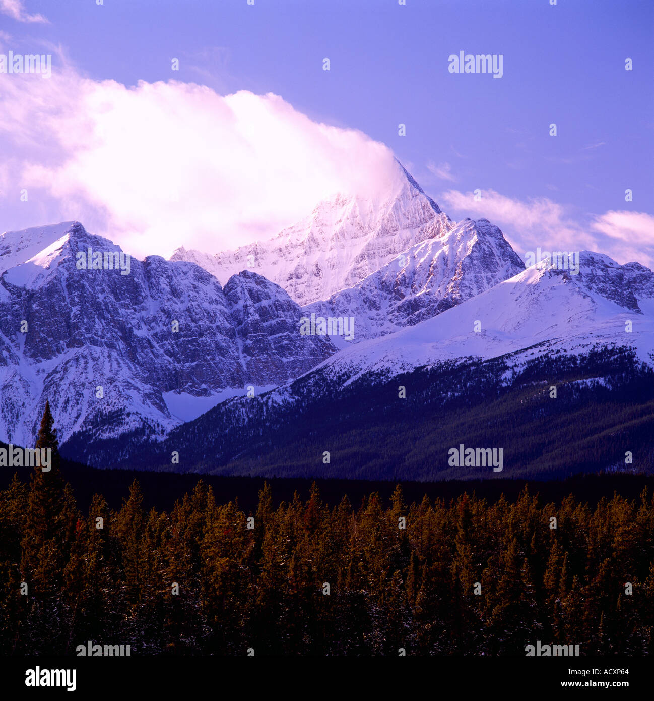 Mount Kitchener along the Icefields Parkway in Banff National Park in ...