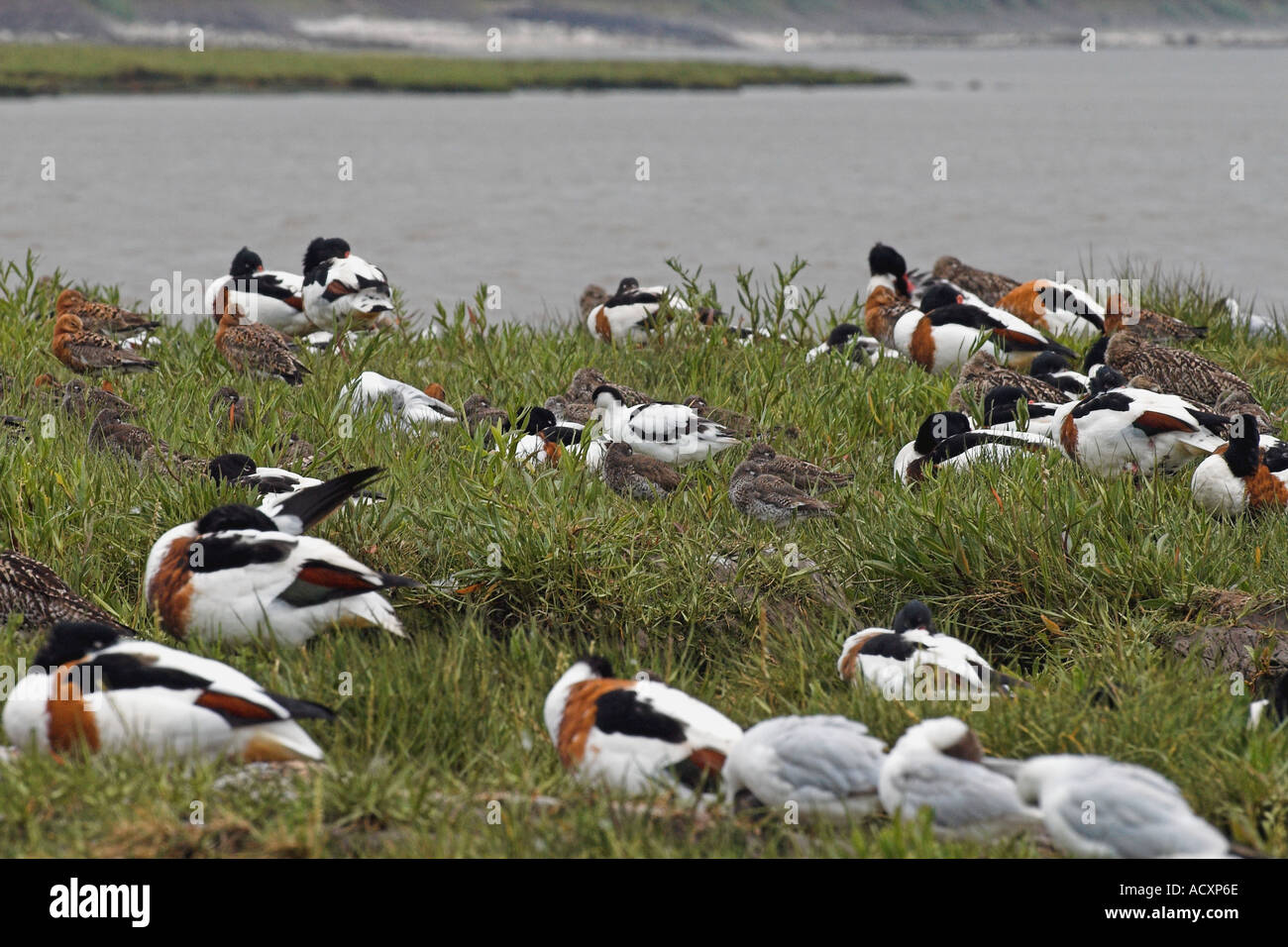Gathering top hi-res stock photography and images - Alamy