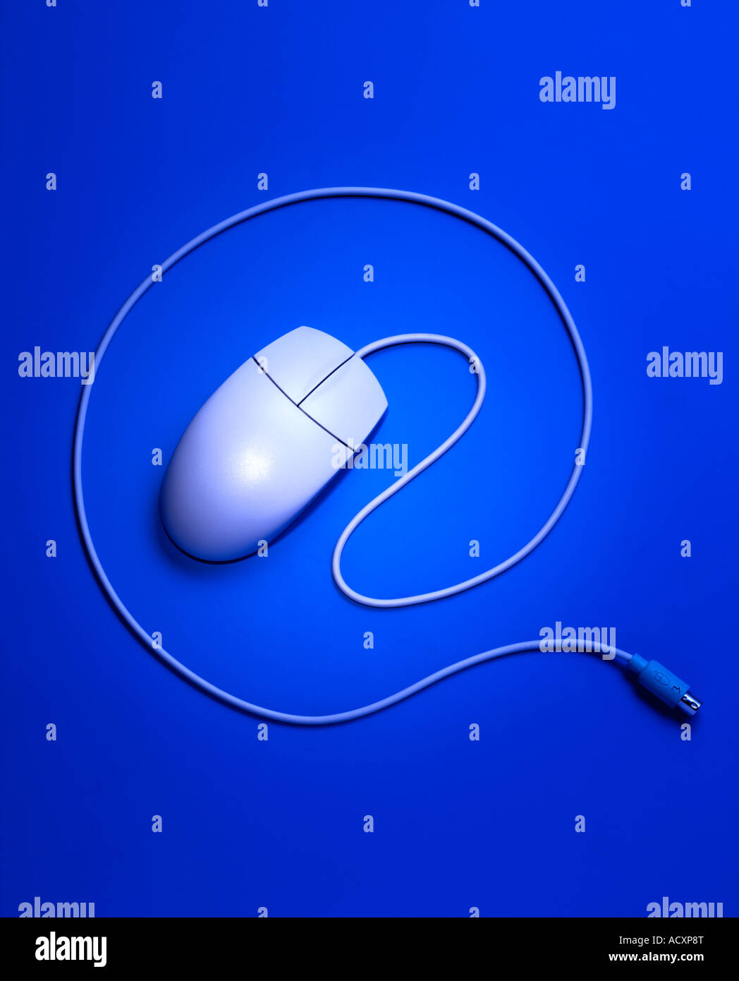 A Computers Mouse forming the shape of an @ sign. Picture by Paddy ...