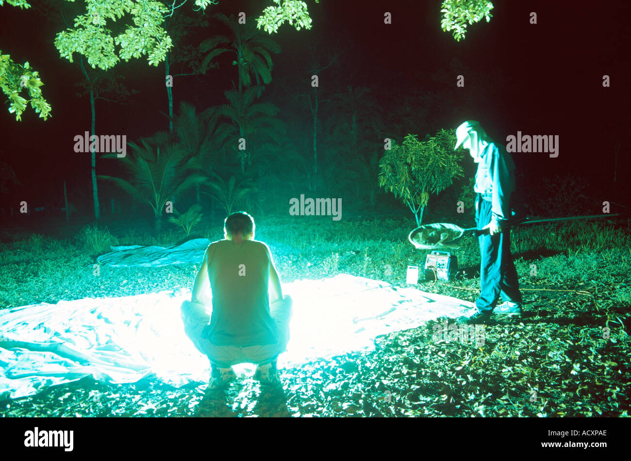 Insect light trap america hi-res stock photography and images - Alamy