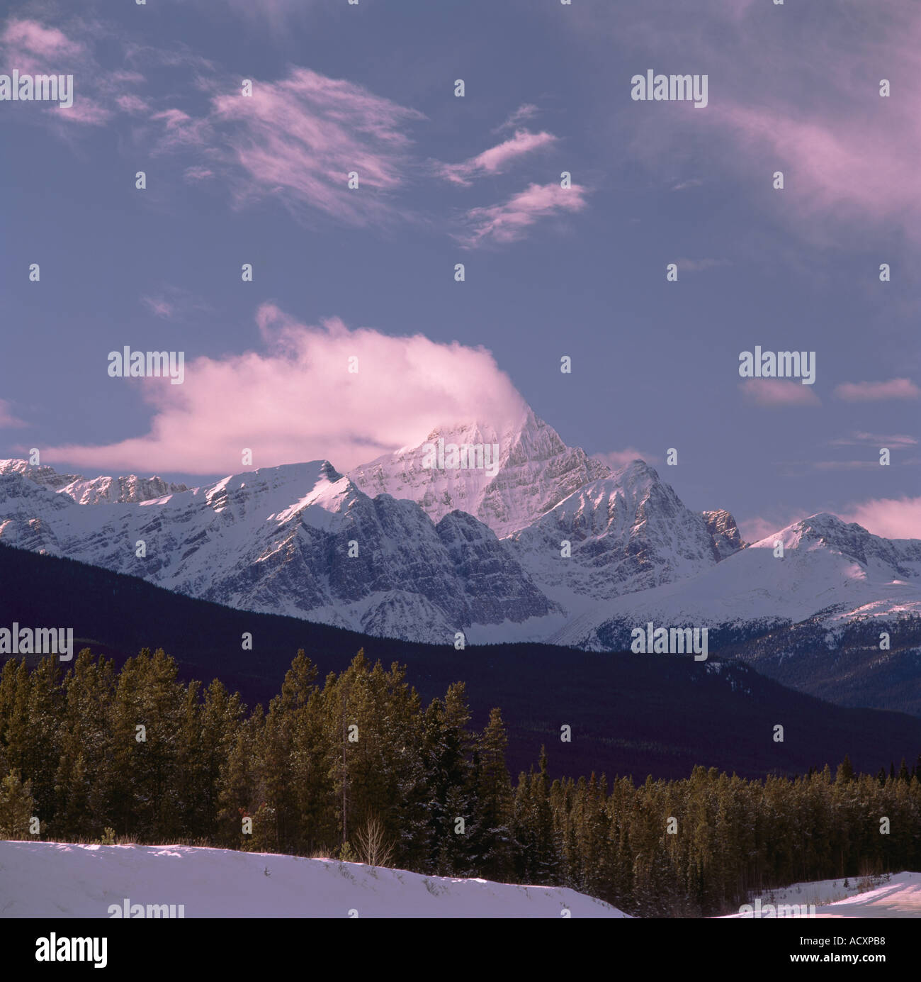 Mount Kitchener in Winter along the Icefields Parkway in Banff National ...