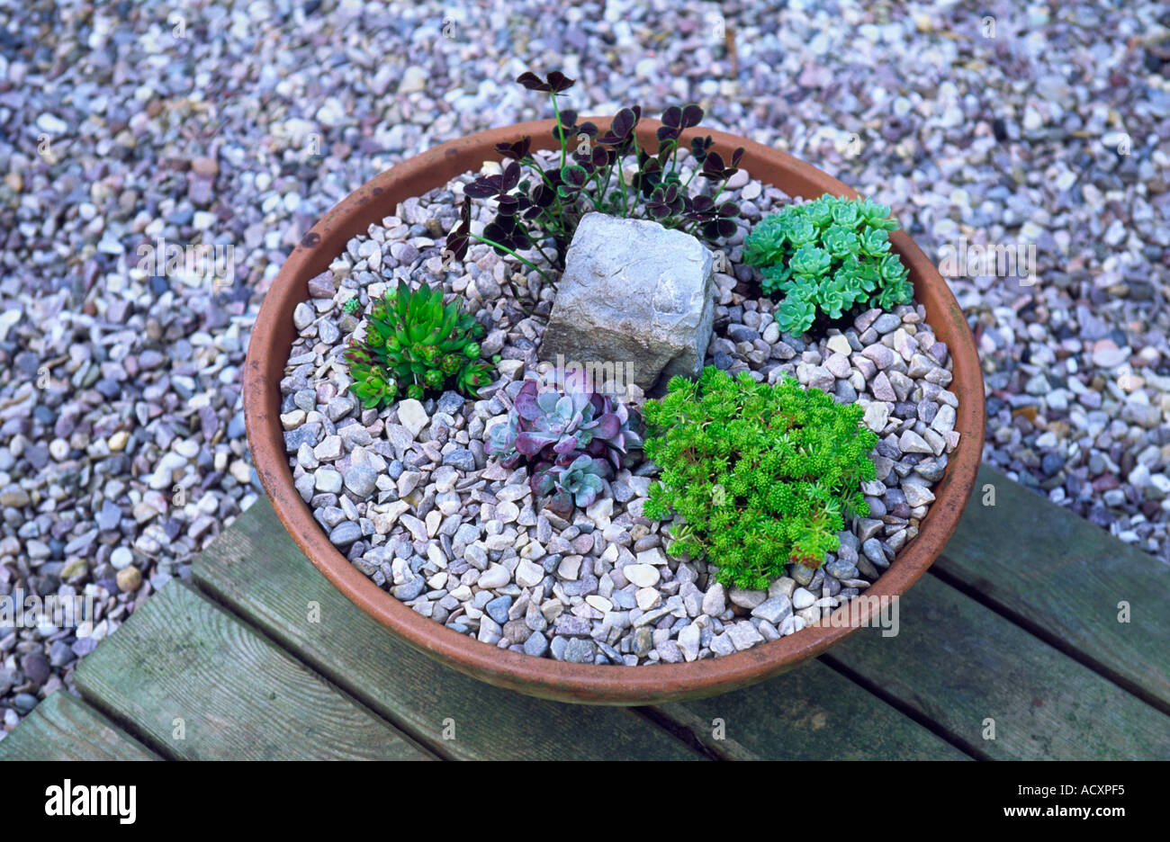 Alpine container garden hi-res stock photography and images - Alamy