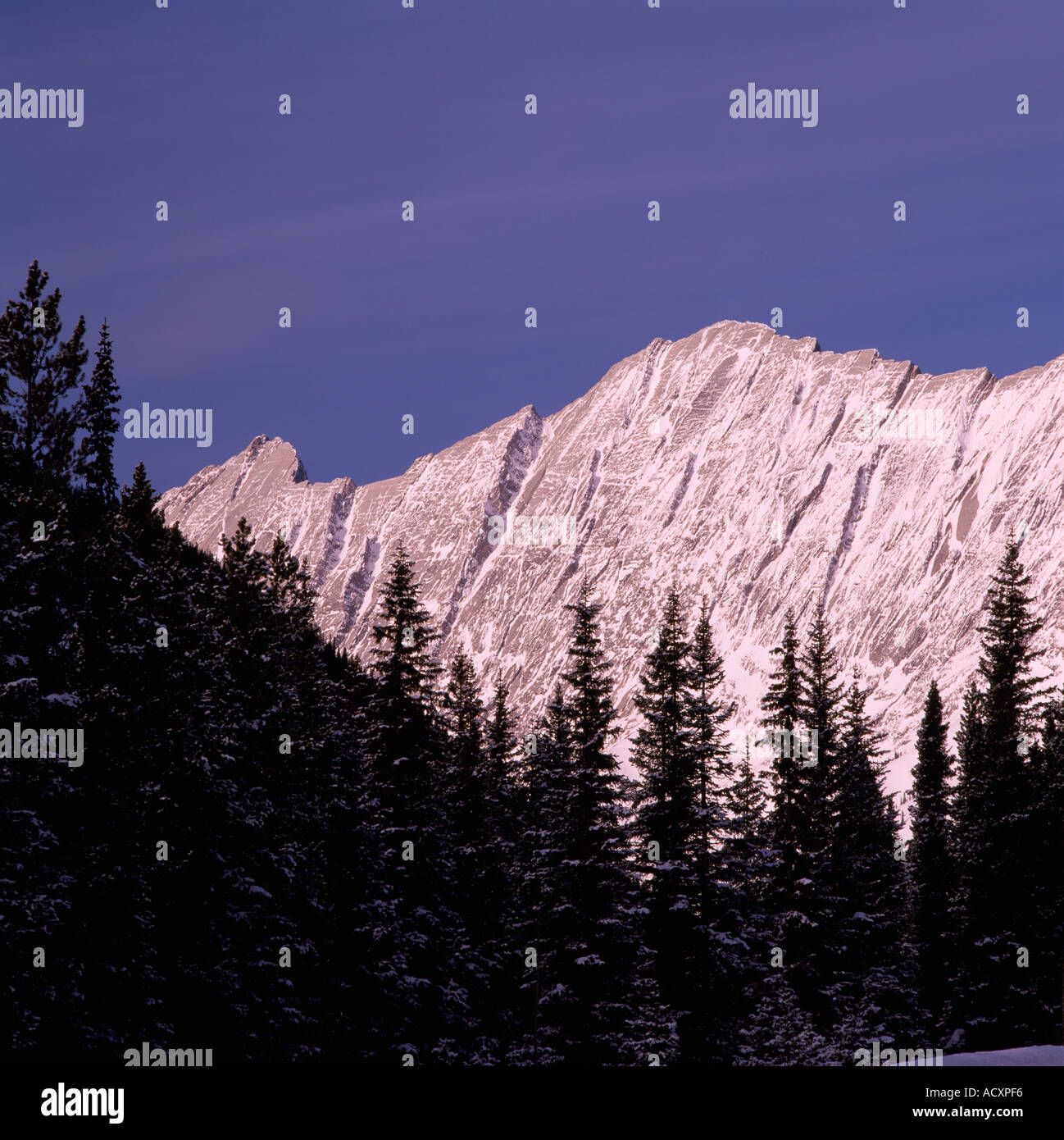 Unesco day queen elizabeth hi-res stock photography and images - Alamy