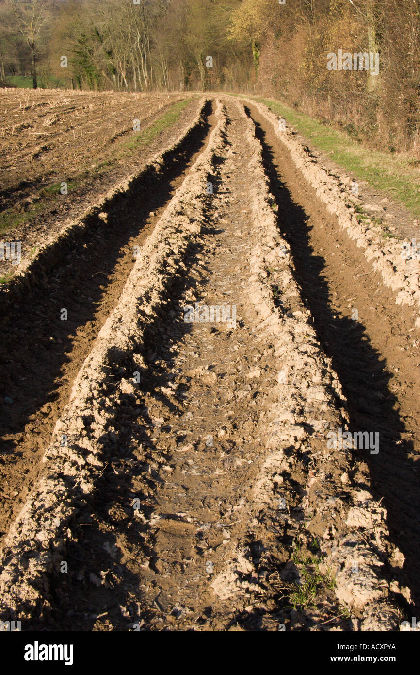 Cart tracks hi-res stock photography and images - Alamy