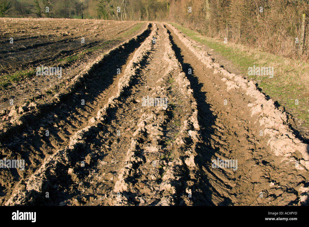 Mud cart hi-res stock photography and images - Alamy