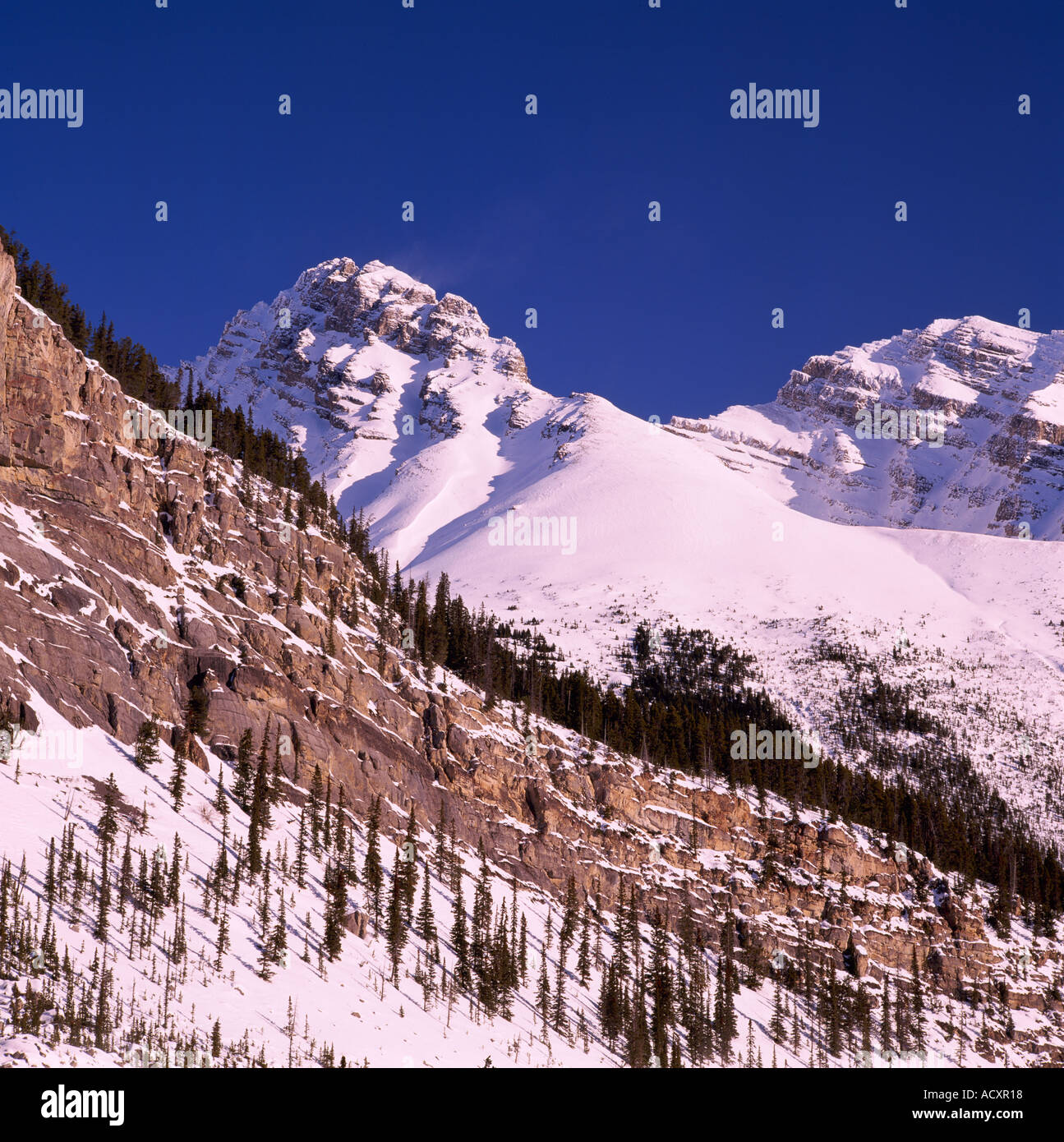 Canadian Rocky Mountains at Sunwapta Pass along the Icefields Parkway ...