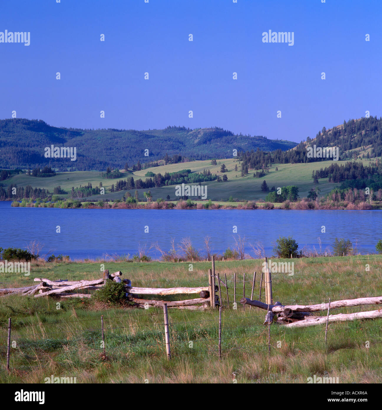 Near merritt hi-res stock photography and images - Alamy