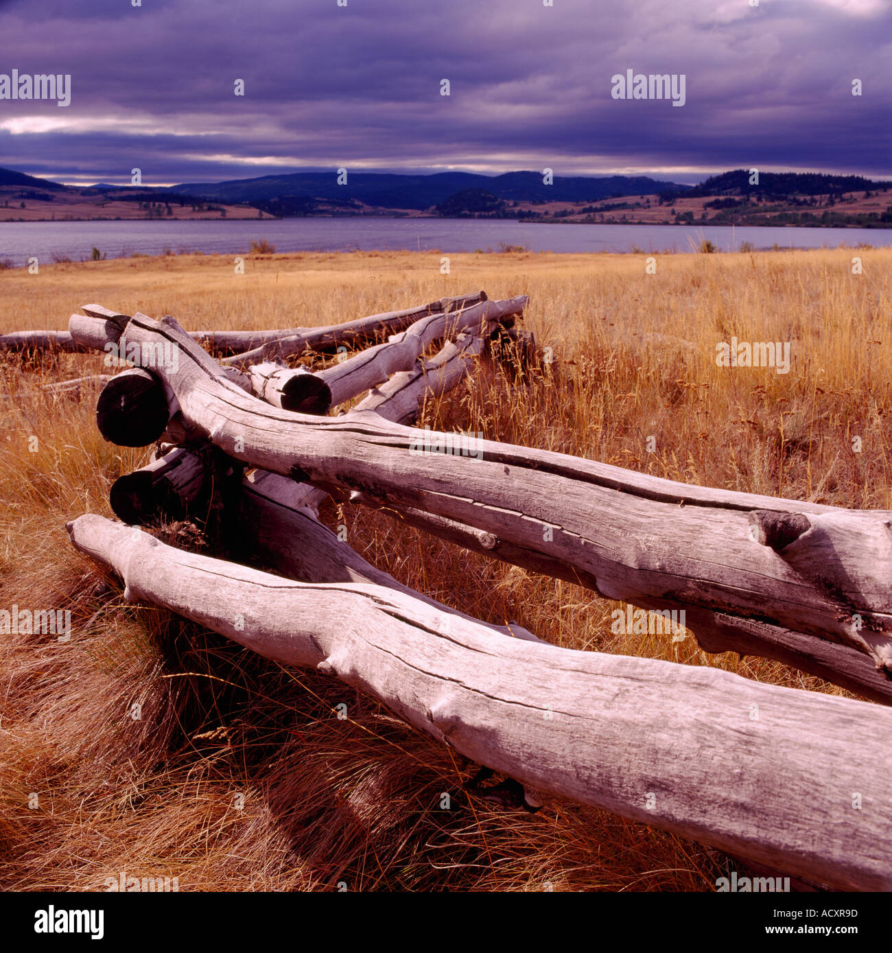 Snake fence hi-res stock photography and images - Alamy