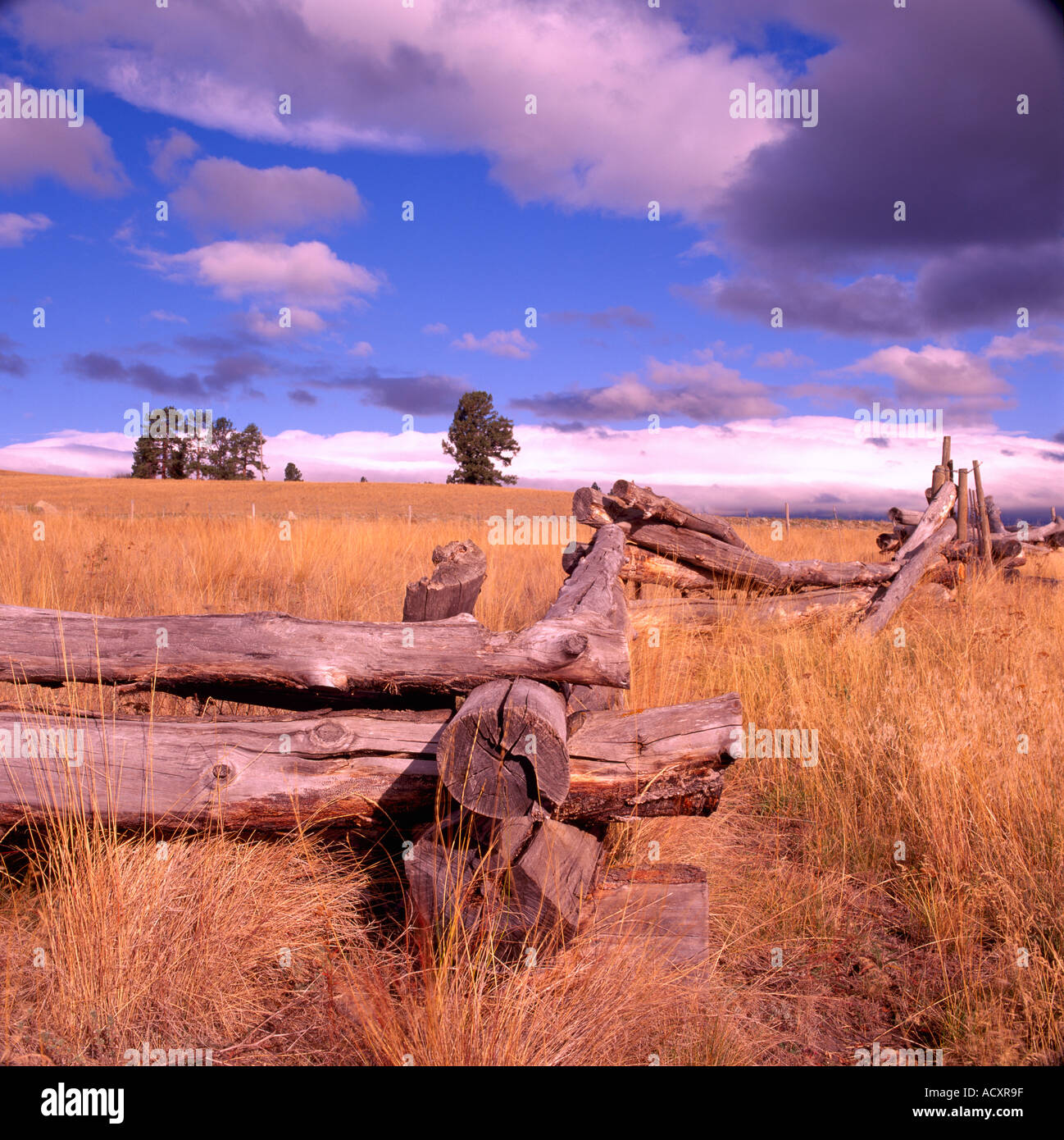 Snake fence hi-res stock photography and images - Alamy