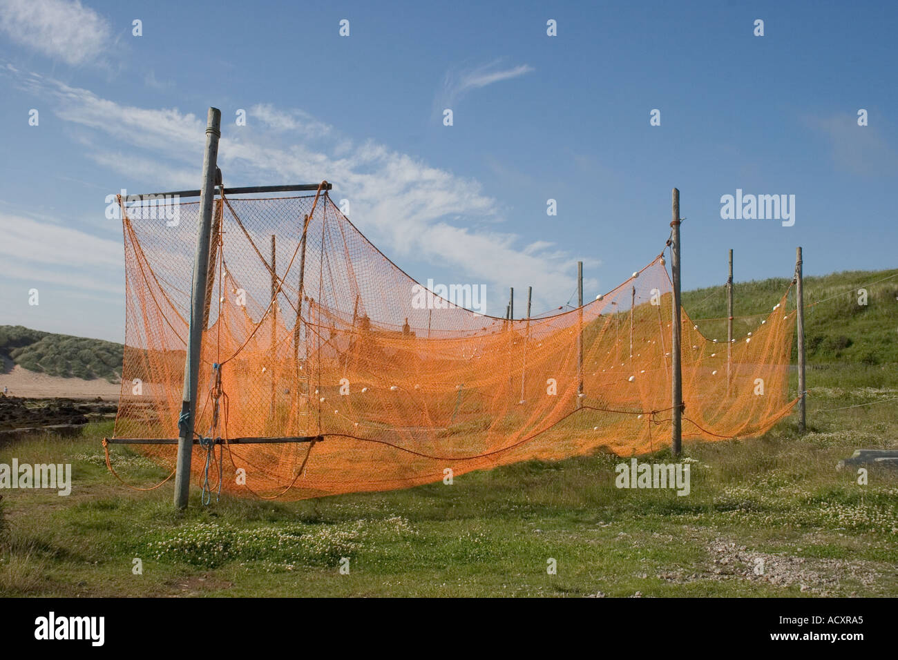 Scottish Sea Fishing Industry. Coastal landscape & drying Salmon fish ...