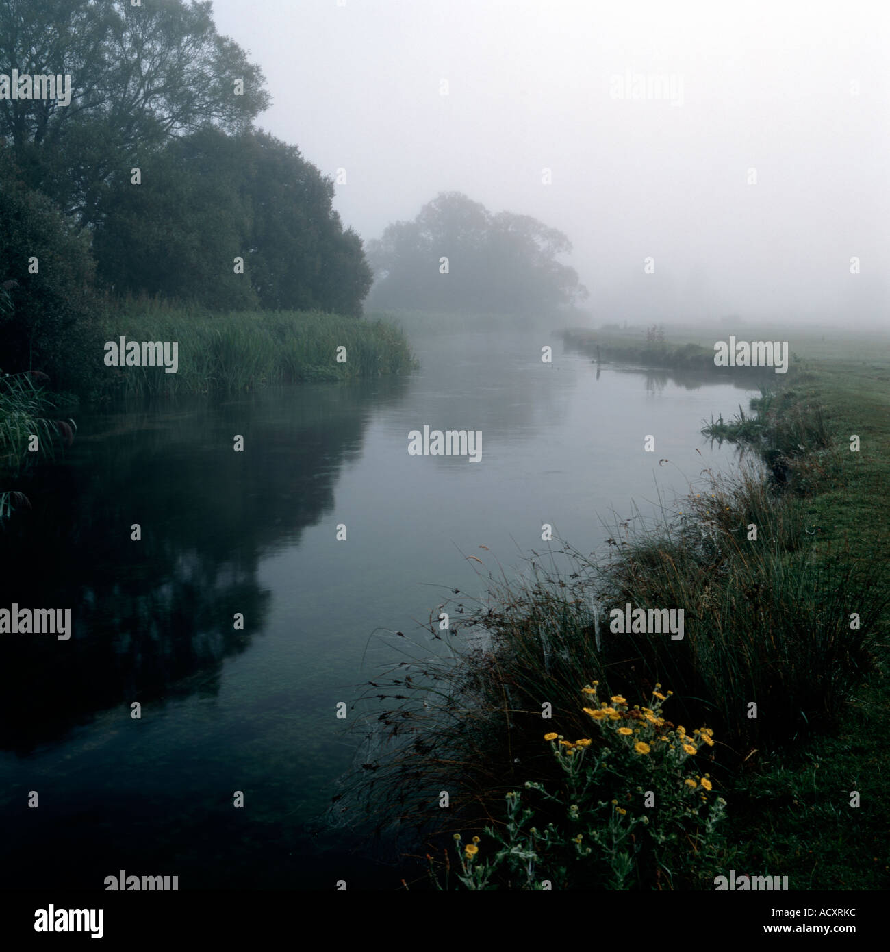 River Test at Stockbridge Common Hampshire England UK Stock Photo - Alamy