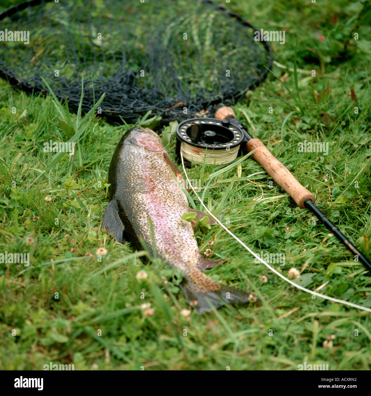 Keep rod hi-res stock photography and images - Alamy