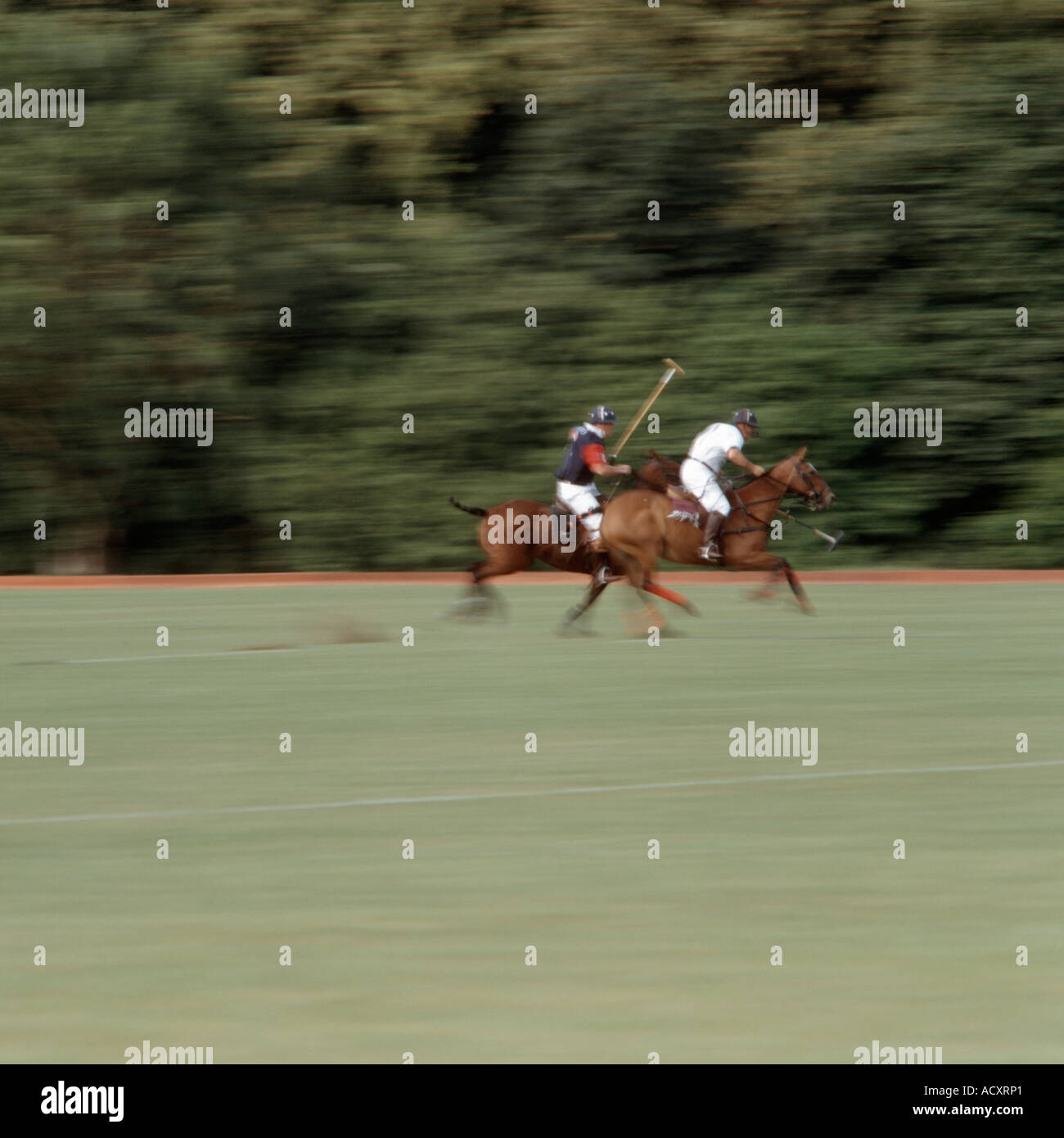 Polo ponies and players Tidworth Wiltshire England UK Stock Photo - Alamy