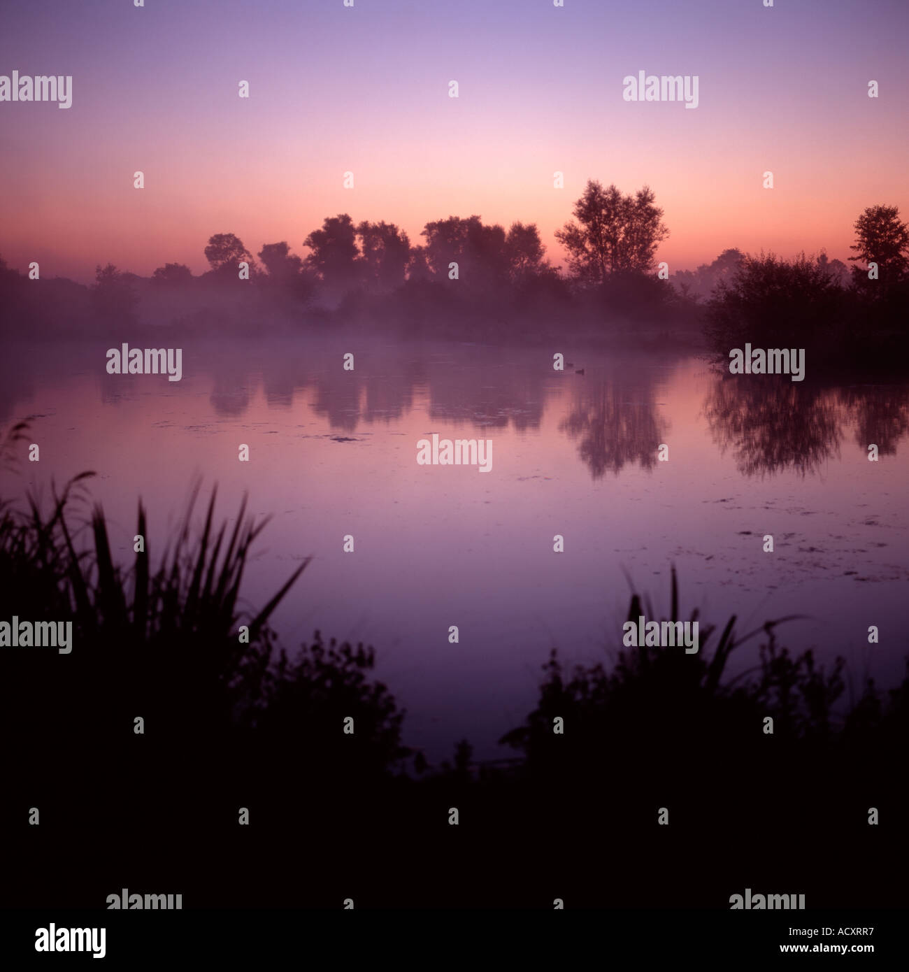 English river lake fishing hi-res stock photography and images - Alamy