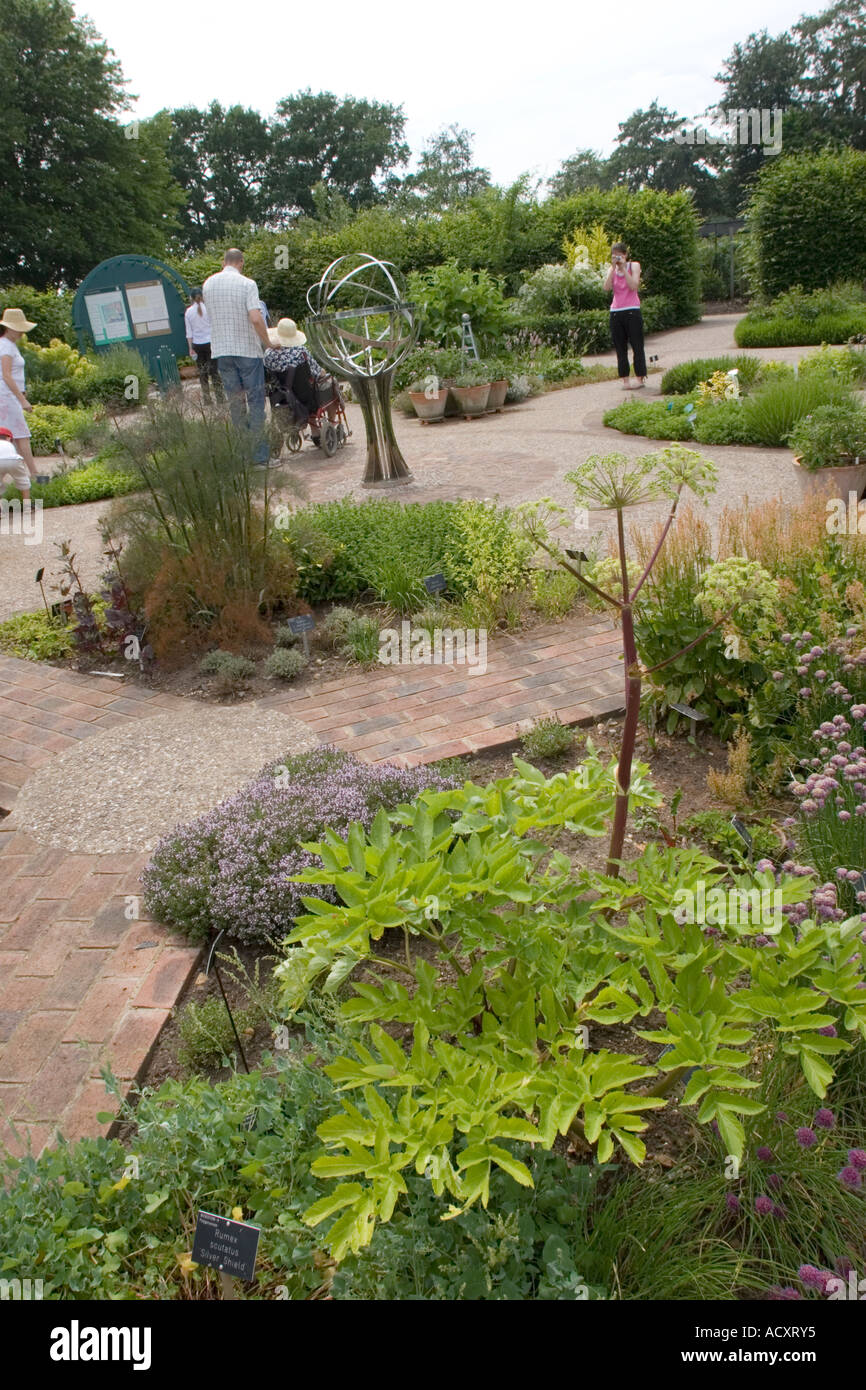 Herb garden at RHS Wisley Surrey England UK Stock Photo - Alamy