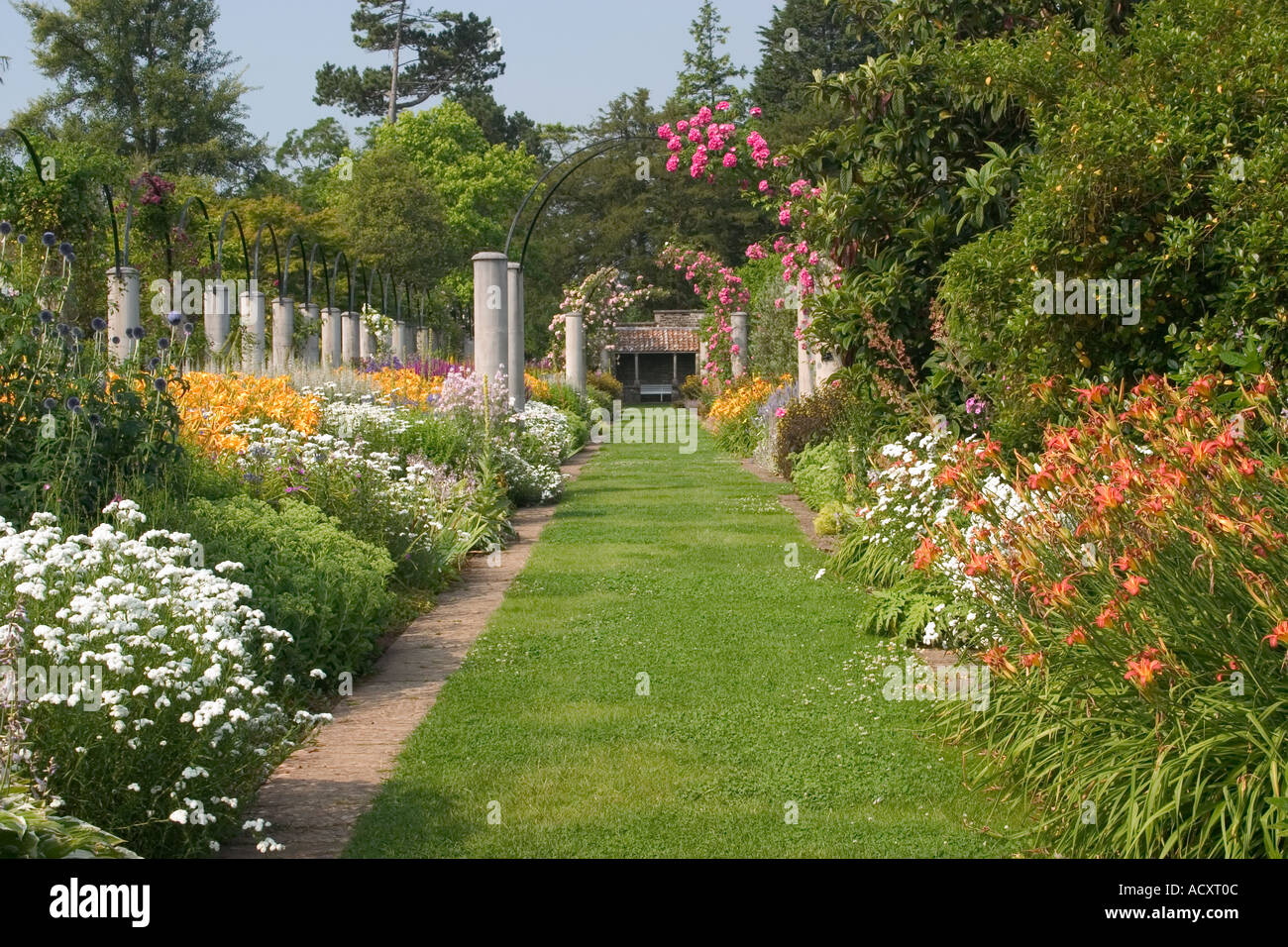 English rose border hi-res stock photography and images - Alamy