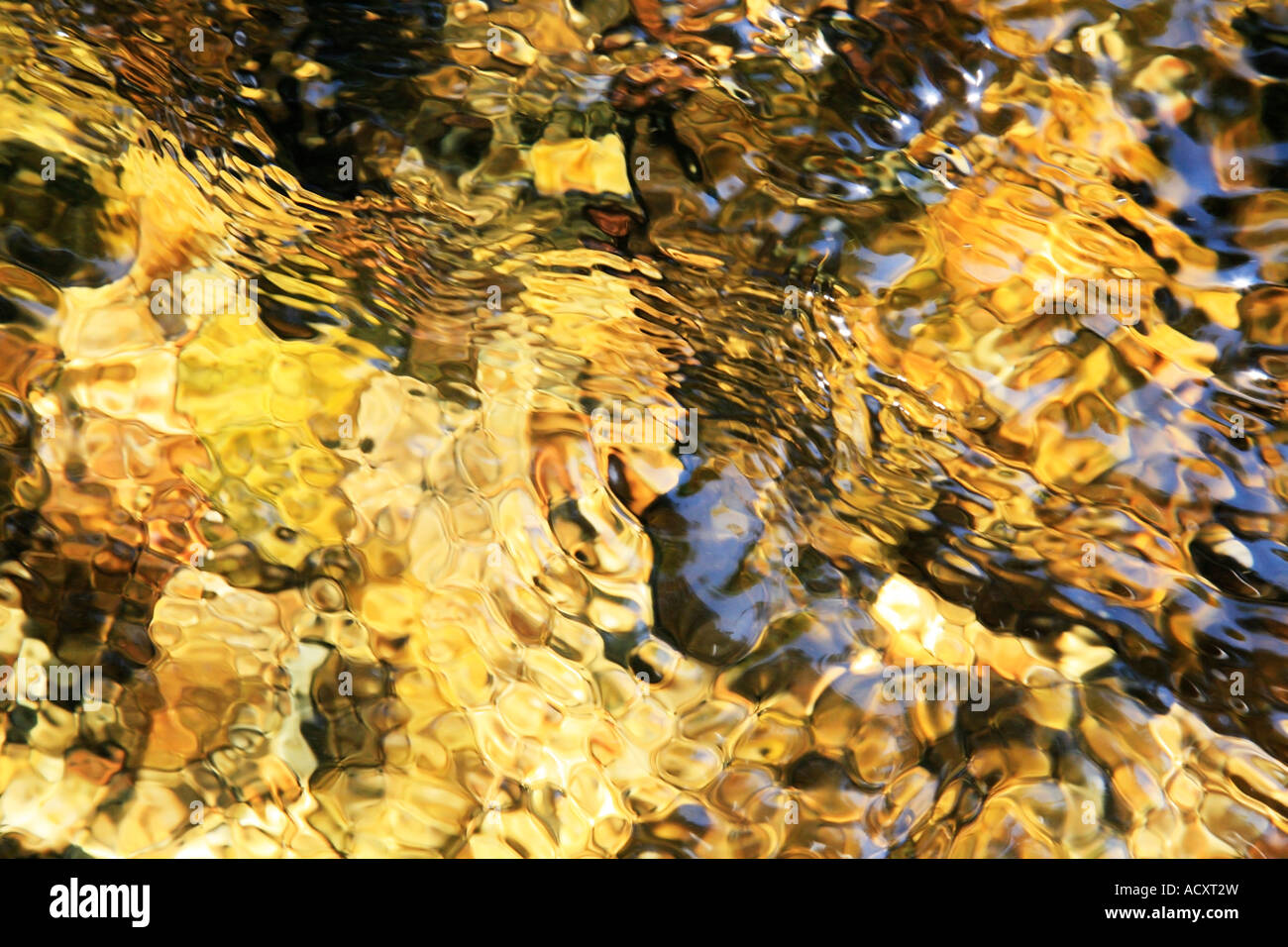 Rocks through flowing water Stock Photo - Alamy