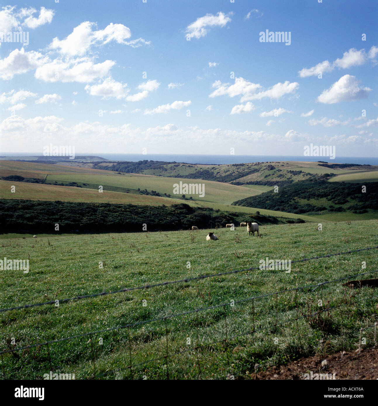 The firle estate hi-res stock photography and images - Alamy