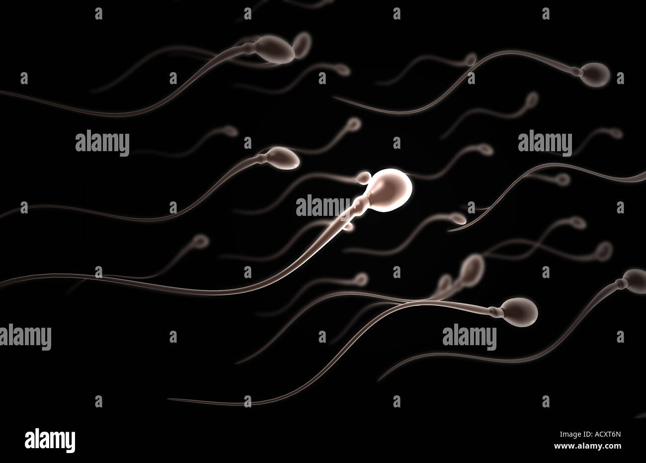 Spermatozoan hi-res stock photography and images - Alamy