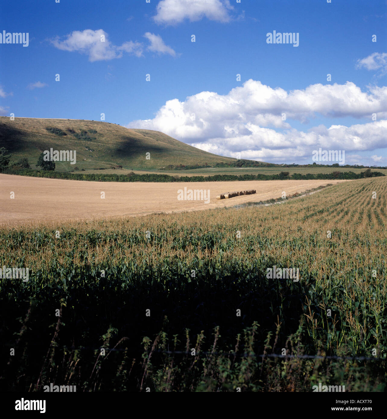 The firle estate hi-res stock photography and images - Alamy