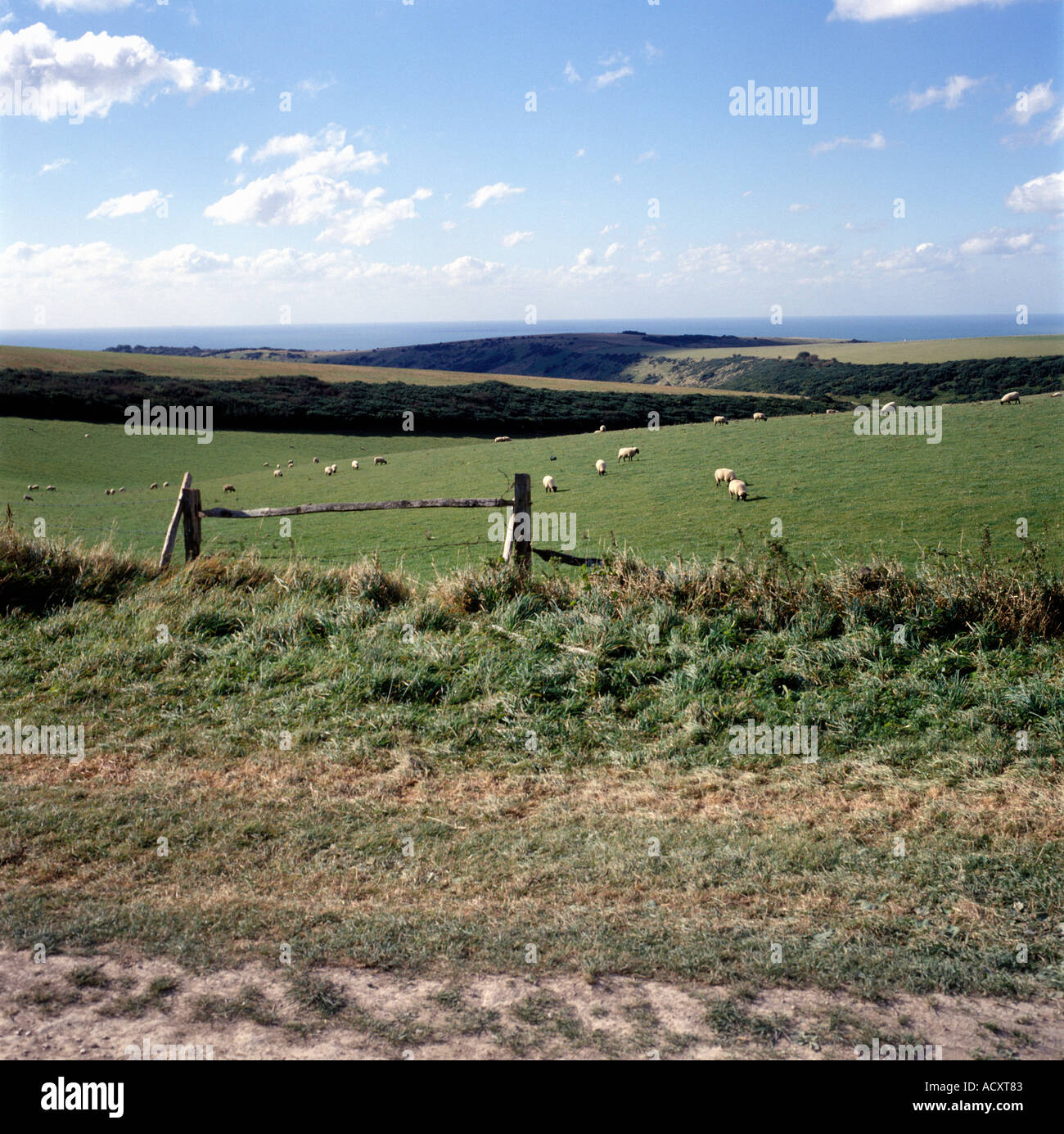 View of land on the Firle Estate near Lewes Sussex Stock Photo - Alamy
